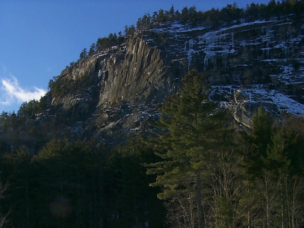 PackTrack.com extras